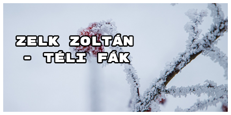 Zelk Zoltán verse - Téli fák